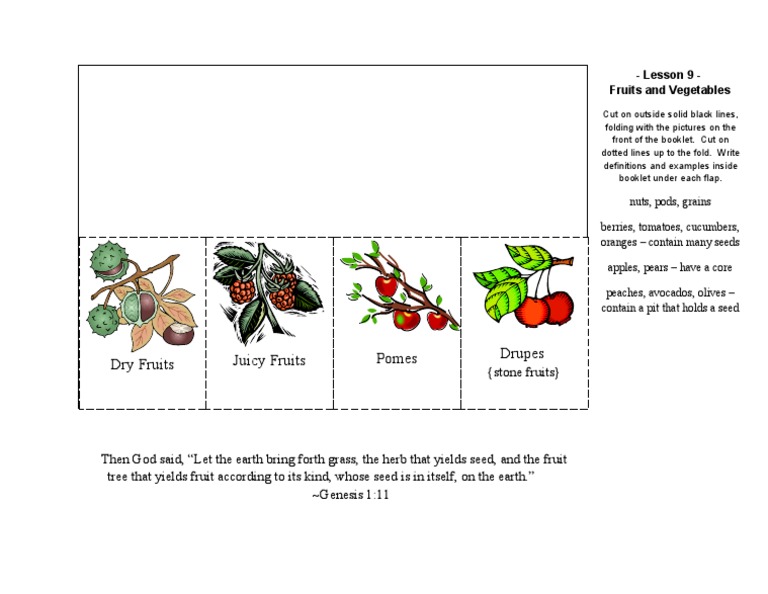 Types of Fruits Explained | PDF