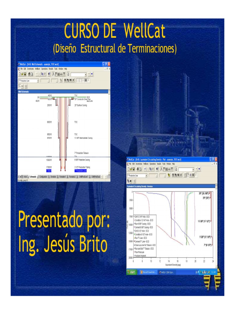 Curso Wellcat - Basico | PDF | Agua | Química