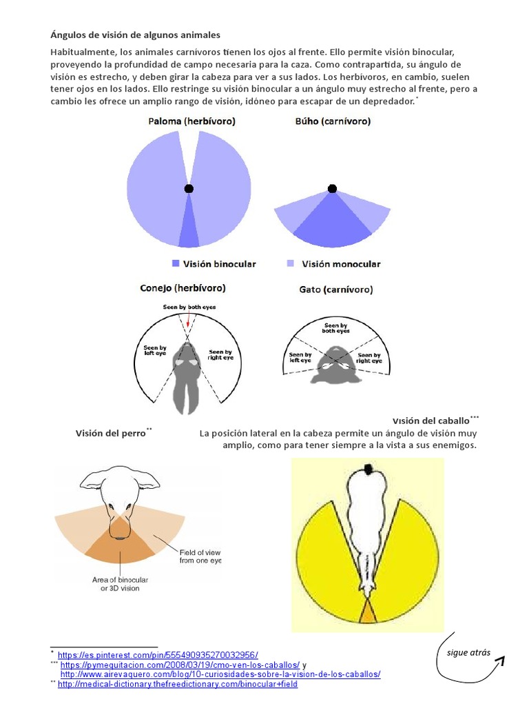 Guia Angulos de Vision de Animales 1 | PDF