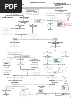 Acute Ischemic Stroke Concept Map | PDF | Atheroma | Atherosclerosis