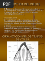 Rizolisis Dental 2 | PDF | Hueso | Inflamación