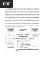 Skema Patofisiologi Diabetes Melitus Dan Abses Perirenal | PDF