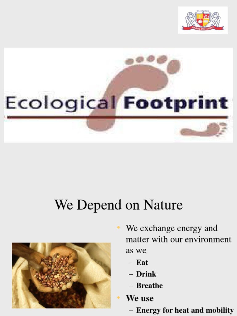 Understanding Ecological Footprints | PDF | Biodiversity | Ecology