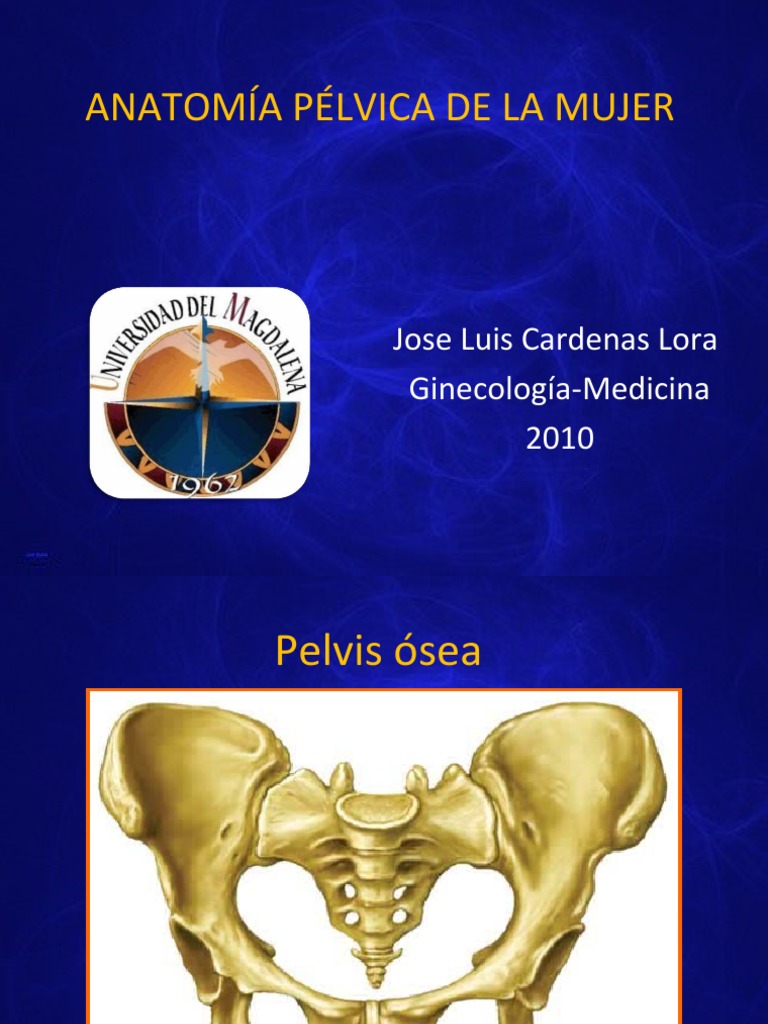 Anatomía Pélvica de La Mujer | PDF | Pelvis | Ovario