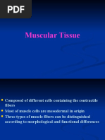 Labster 5 Post Lab | PDF | Muscle Contraction | Skeletal Muscle