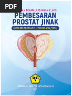 Guideline BPH 2017 PDF | PDF