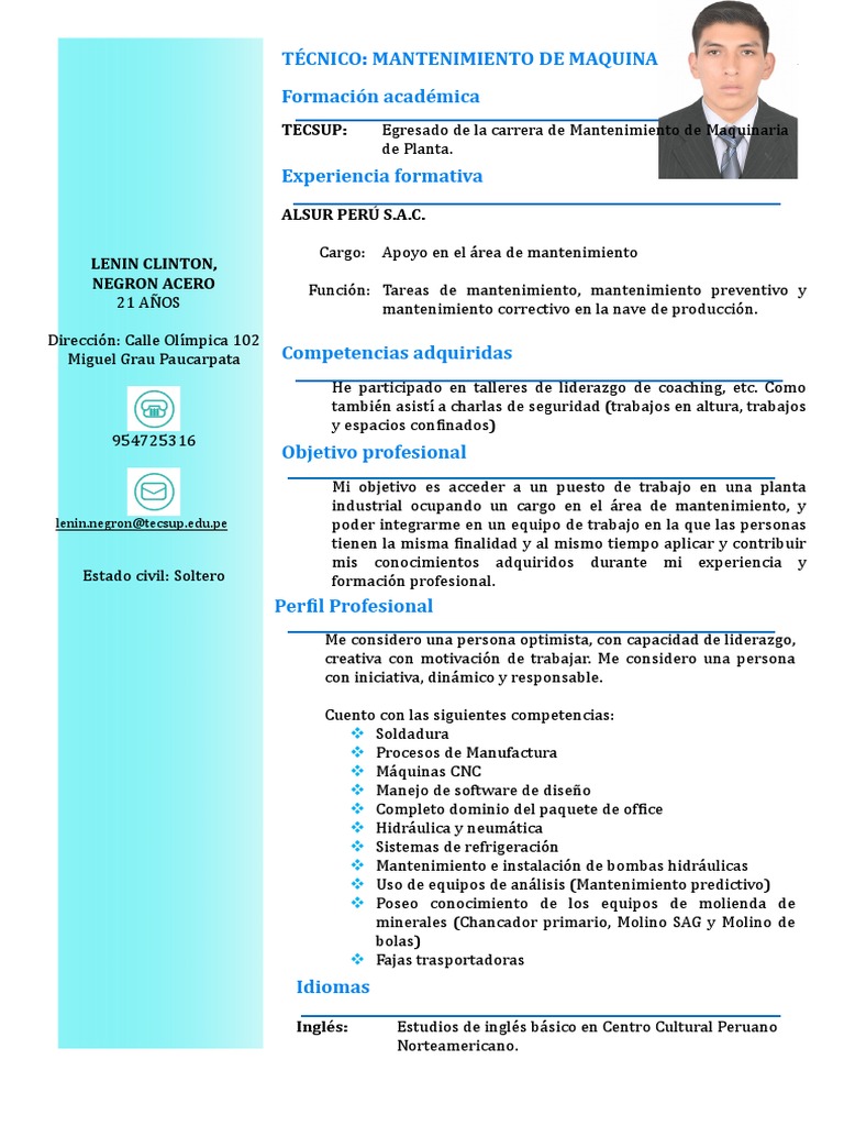 Curriculum Vitae | PDF | Educación avanzada | Business