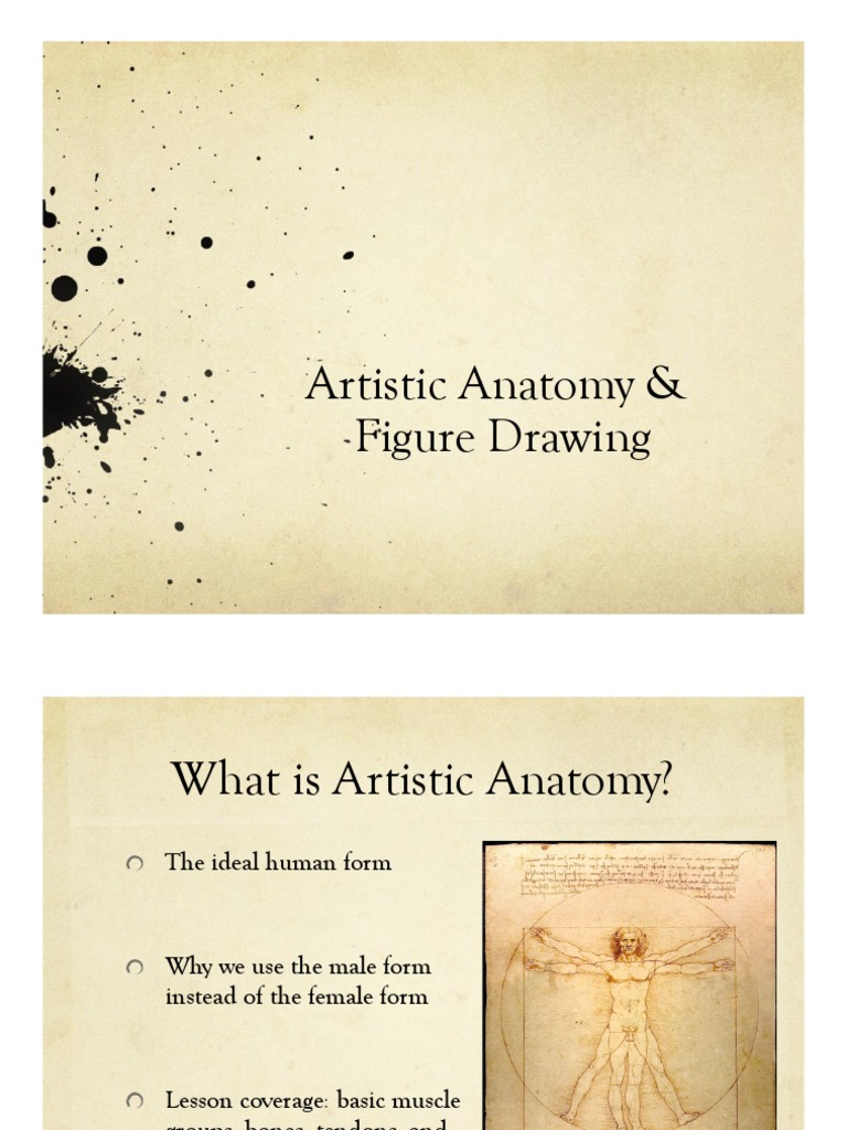 Artistic Anatomy Figure Drawing Pdf Anatomical Terms Of Location