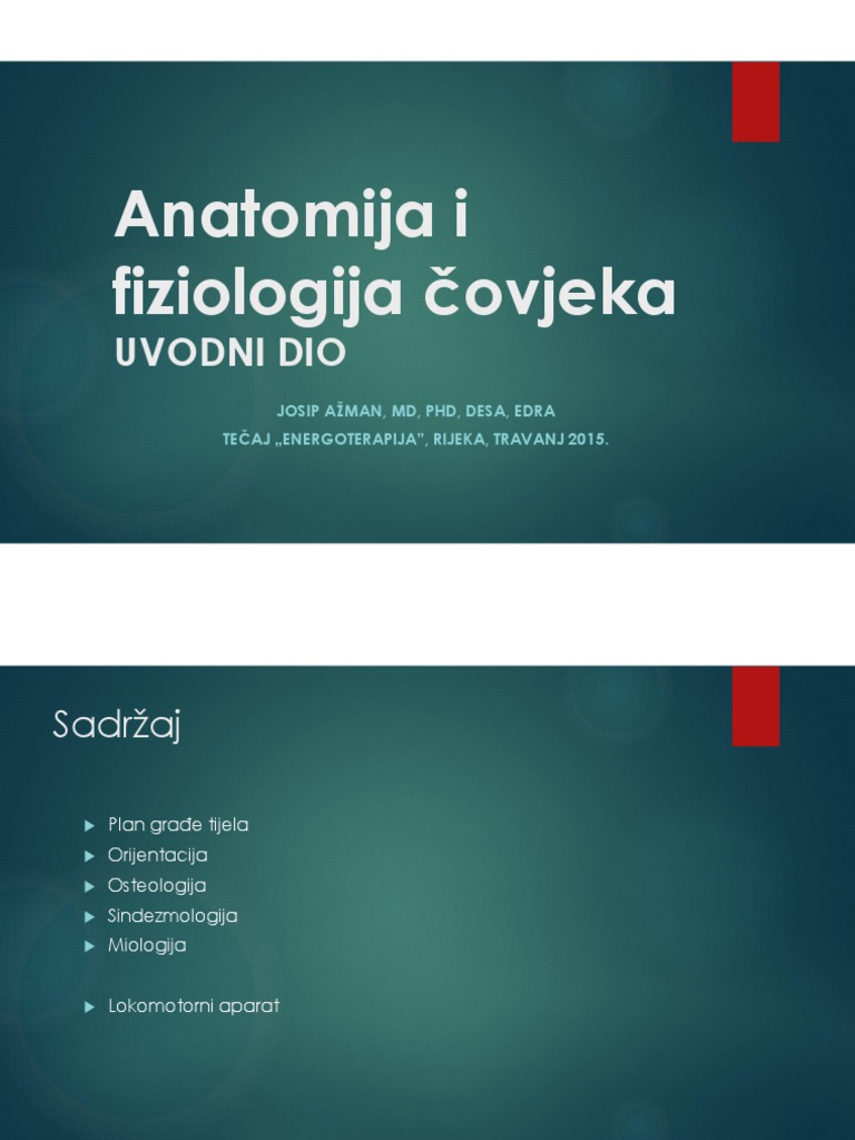 Anatomija I Fiziologija Covjeka I | PDF