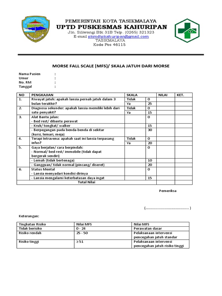 Morse Fall Scale KHP | PDF
