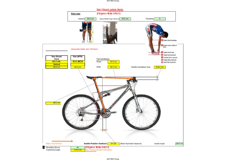 Biomechanical Cycling V 8 English | PDF