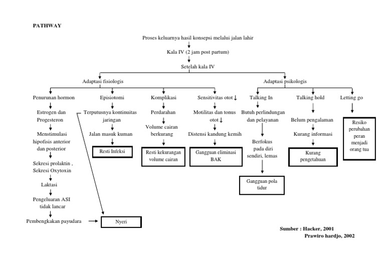 PATHWAY Post Partum Raihan | PDF