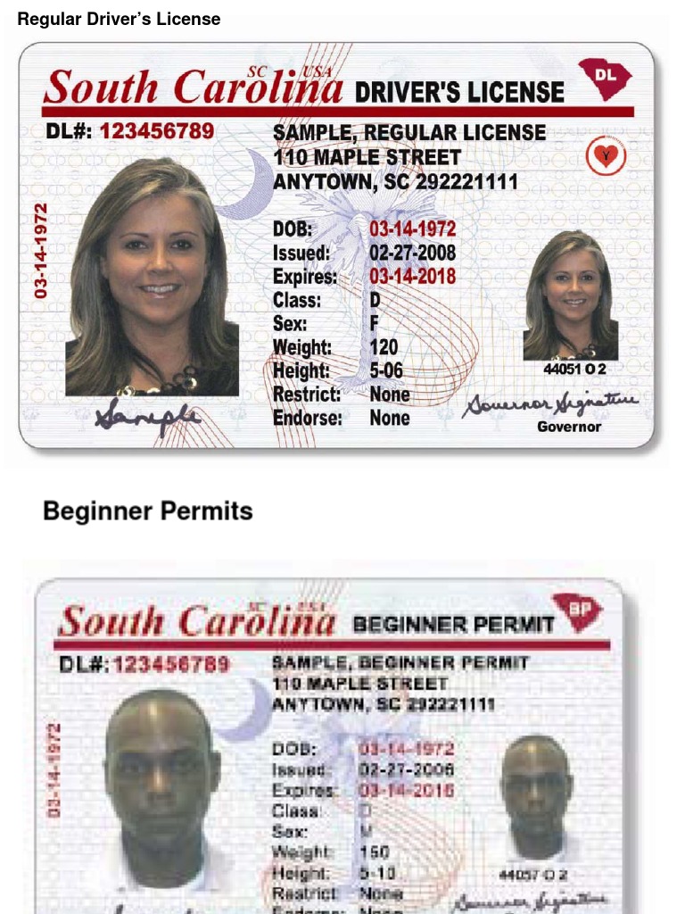 New South Carolina Driver's Licenses | PDF