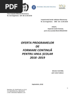 Cds-Analiza de Nevoi | PDF