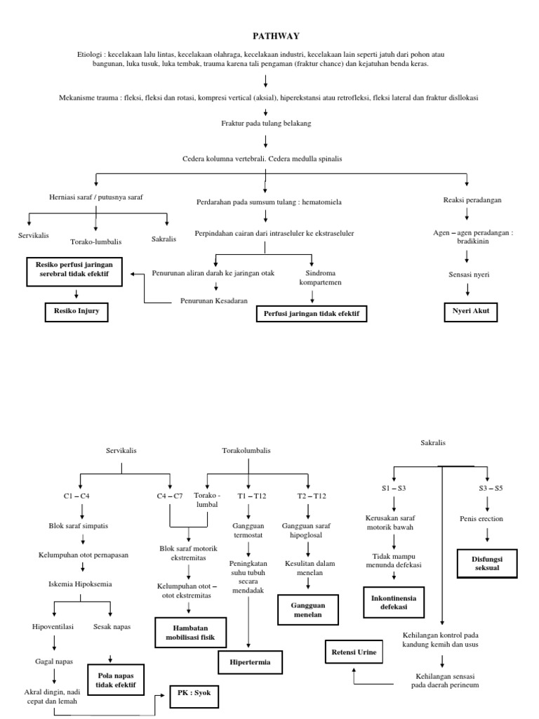 Pathway dan Diagnosis Paraparese | PDF