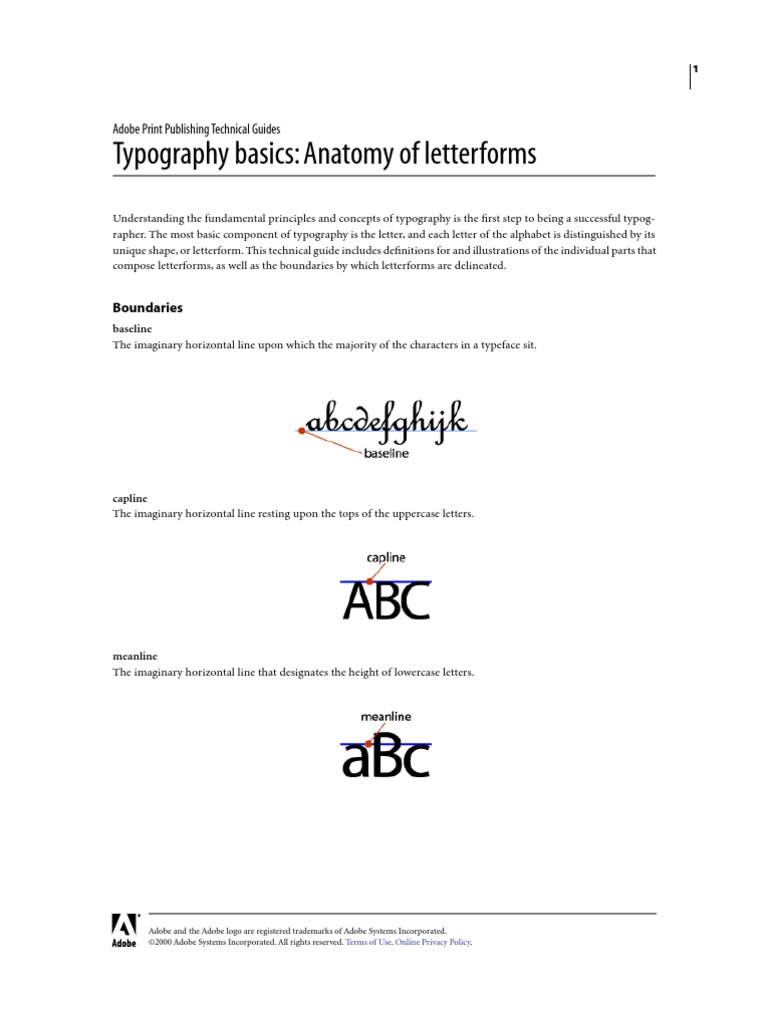 Anatomy of Letter Forms | PDF | Typefaces | Letter Case