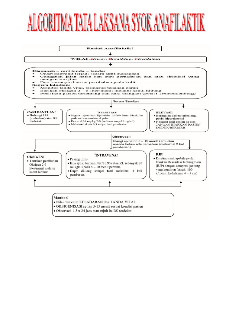 Tatalaksana Syok Anafilaktik | PDF