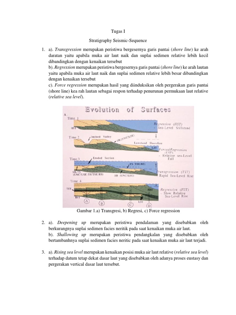 Stratigrafi Seismik dan Perubahan Garis Pantai | PDF