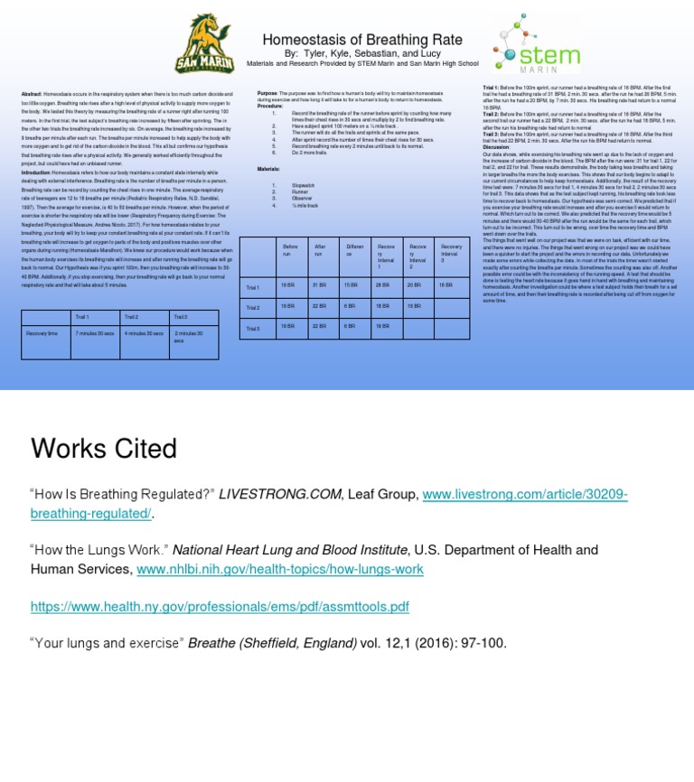 Homeostasis Poster | PDF | Breathing | Homeostasis