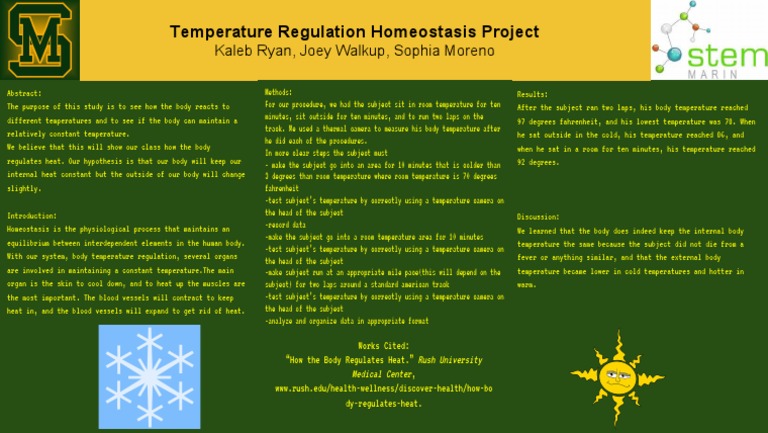 Homeostasis Poster - Body Temperature Regulations | Download Free PDF ...