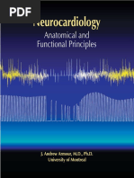Benenstein Basic Tee Protocol | PDF | Heart Valve | Echocardiography