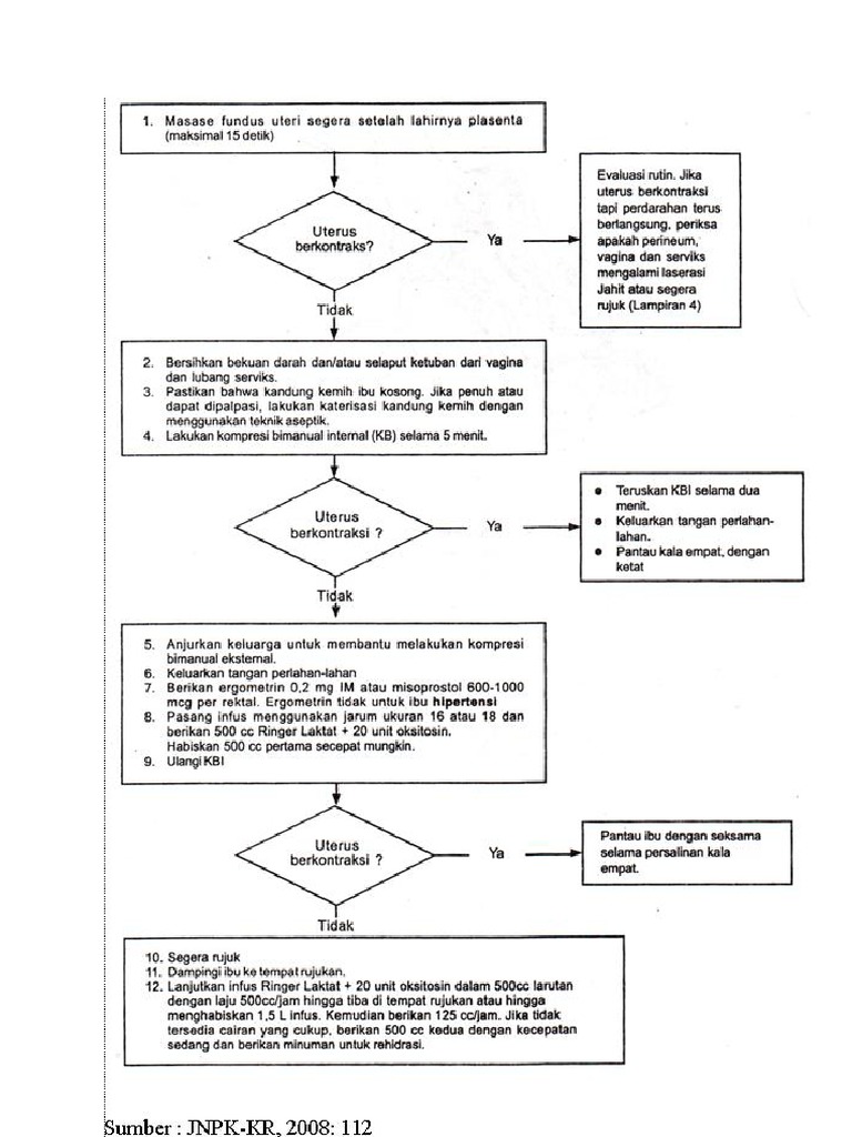 Algoritma Perdarahan Pervaginam | PDF