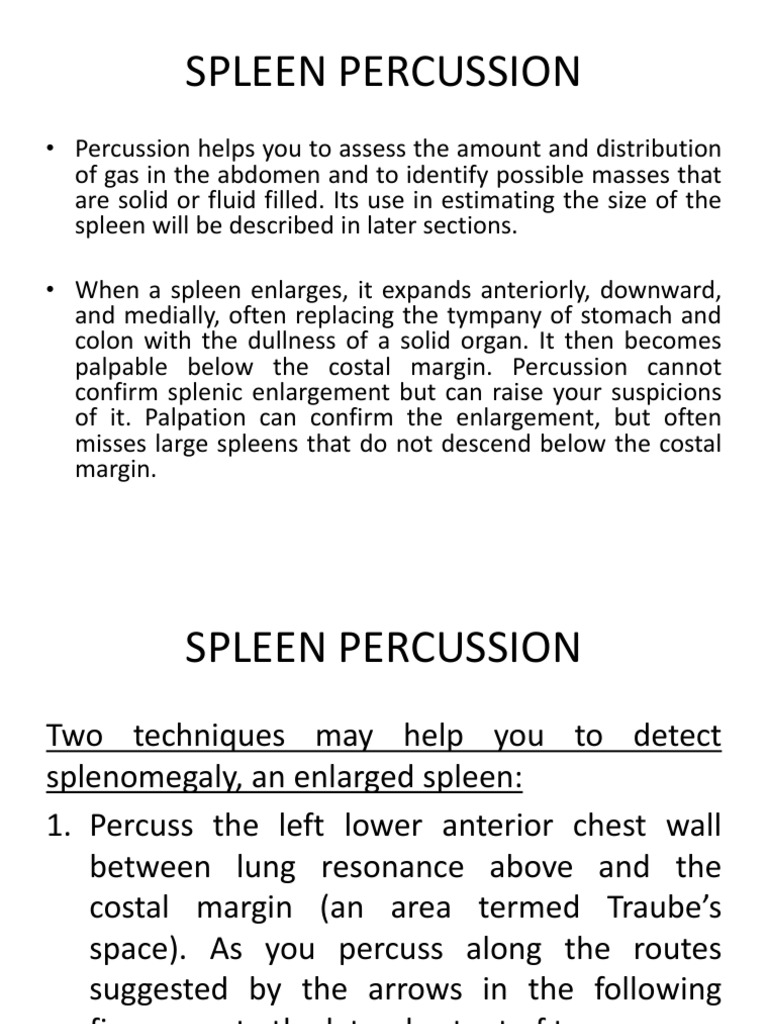 Spleen Percussion | Spleen | Clinical Medicine