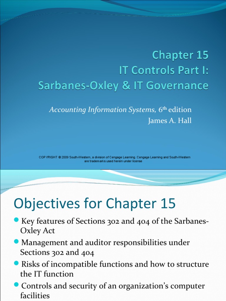 Siomai Rice | PDF | Sarbanes–Oxley Act | Financial Audit