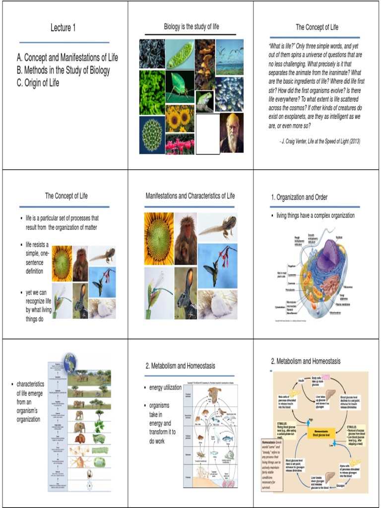 Biology Is The Study of Life The Concept of Life | PDF | Life | Hypothesis