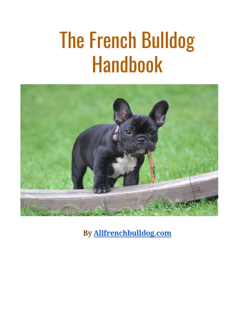 The Complete French Bulldog Handbook | PDF | Bulldog | Dogs