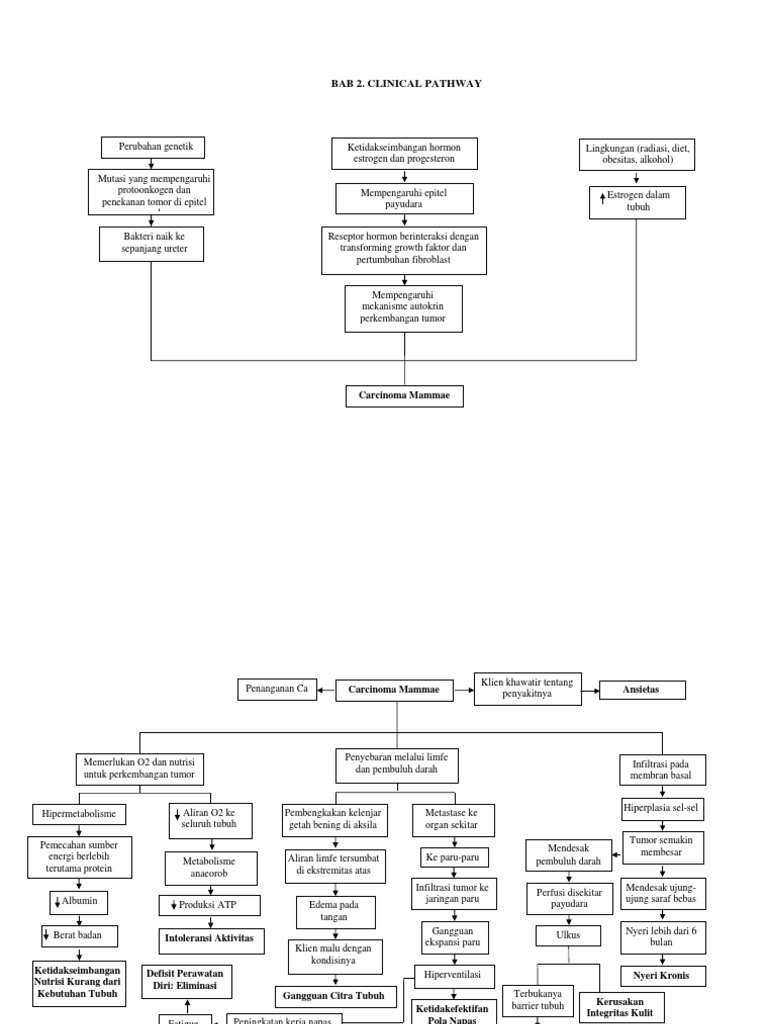 Pathway LP Hayati CA Mamae | PDF