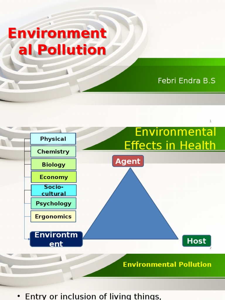 2018 - Environmental Pollution | PDF | Pollution | Human Impact On The ...