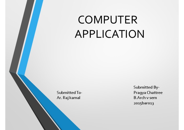 Computer Application Project Report | PDF