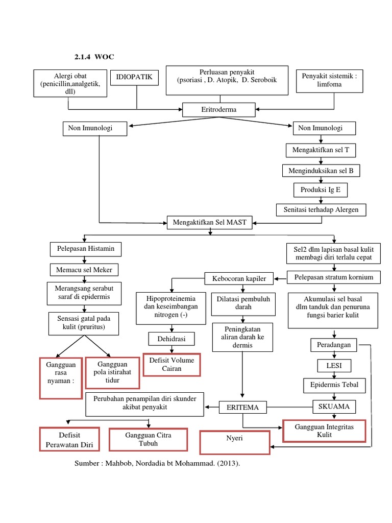 WOC Eritroderma | PDF