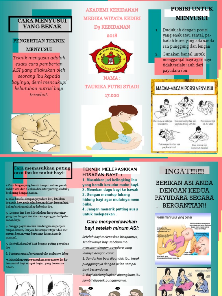 Brosur Bu Dina Cara Menyusui | PDF | Kesehatan Holistik