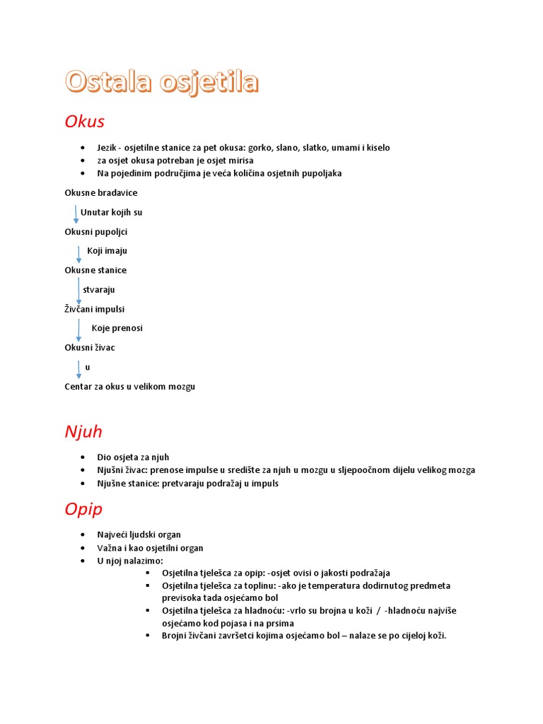 Ostala Osjetila | PDF