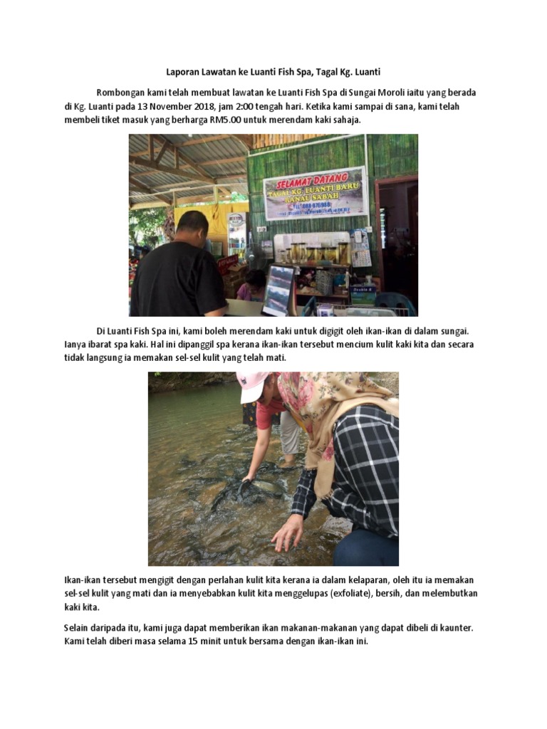 Laporan Lawatan Ke Luanti Fish Spa | PDF