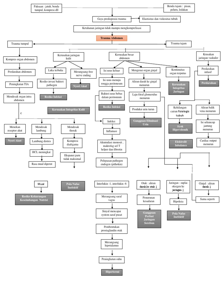 Woc Trauma Abdomen | PDF