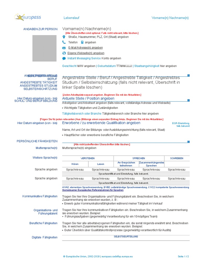 Ecv Template de | PDF