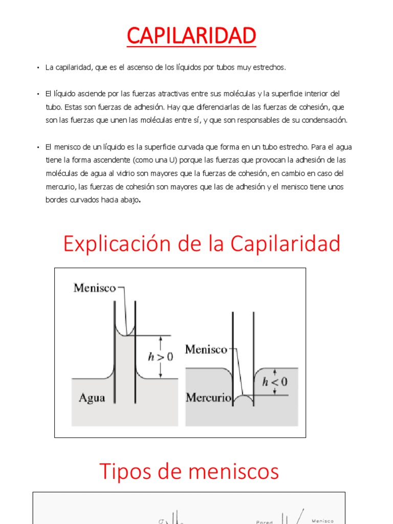capilaridad.pptx | Materia blanda | Ciencia de materiales