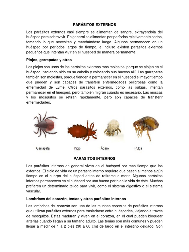Parásitos Externos | PDF | Parasitismo | Especialidades Medicas