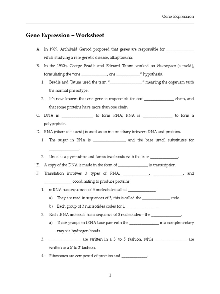 From Gene To Protein - Worksheet | PDF | Messenger Rna | Ribosome