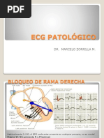 Curva de Scammon | PDF | Estilo de vida