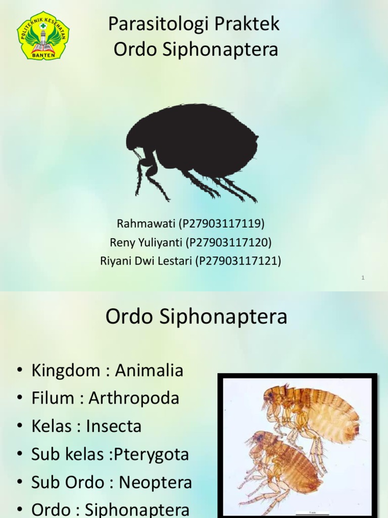 Parasitologi Praktek - Ordo Siphonaptera | PDF