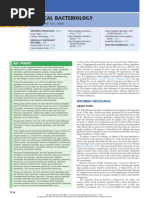 Api 20e | PDF | Bacteria | Chemistry