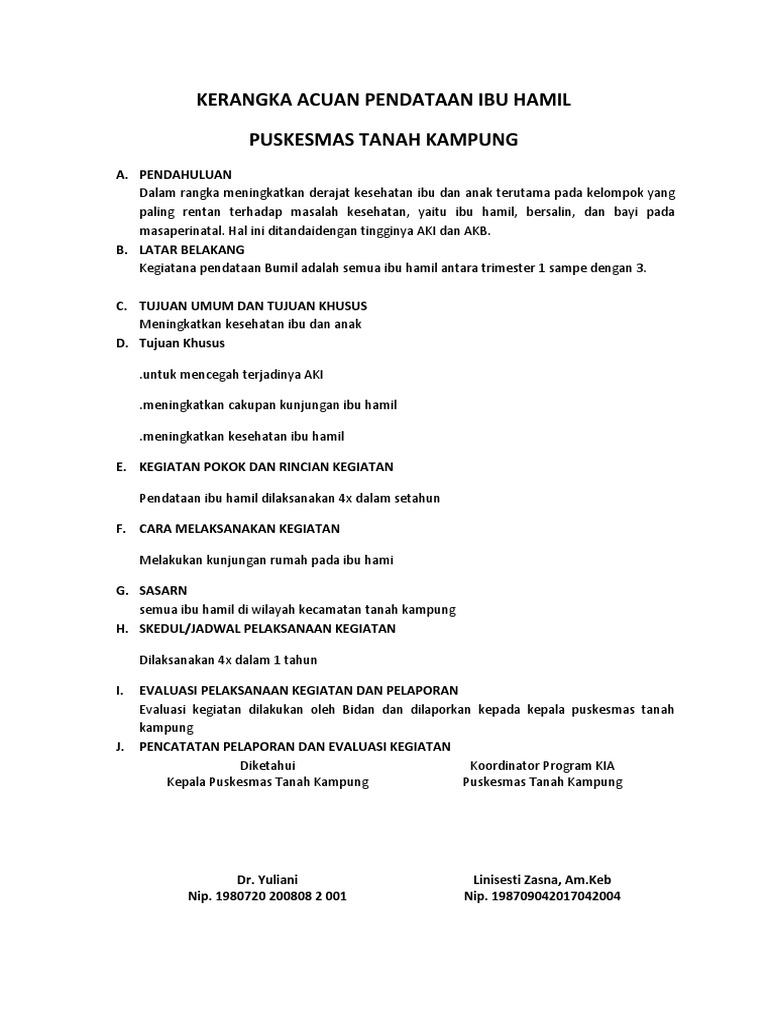 KAK Pendataan Bumil | PDF