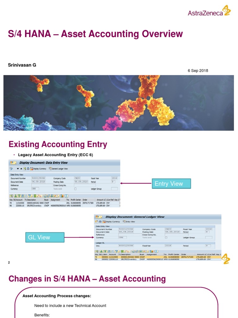 S4 Hana Asset | PDF