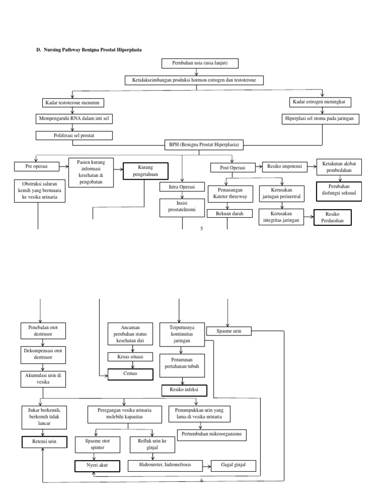 Nursing Pathway Benigna Prostat Hiperplasia | PDF