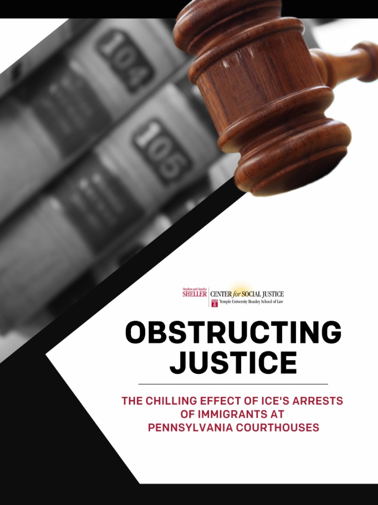 Obstructing Justice | PDF | U.S. Immigration And Customs Enforcement ...