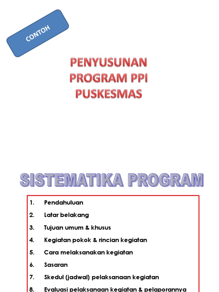 Program PPI Puskesmas